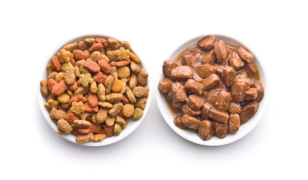 Why You Need To Know How to Read Dog Food Labels | Dog Insider